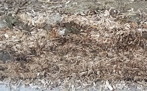 The deep litter method for chickens - Cluckin