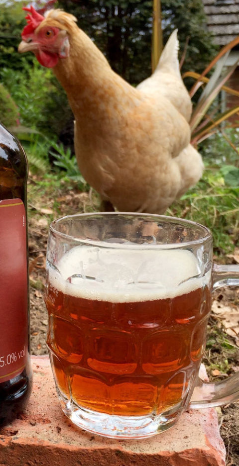 Can chickens have beer, wine, spirits and alcohol? - Cluckin
