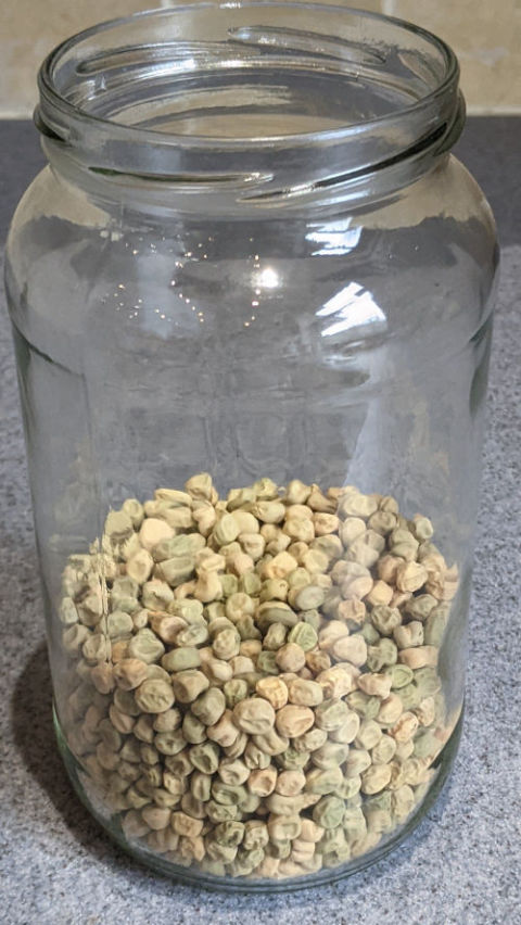 Sprouted grains for chickens with 17 types tested - Cluckin