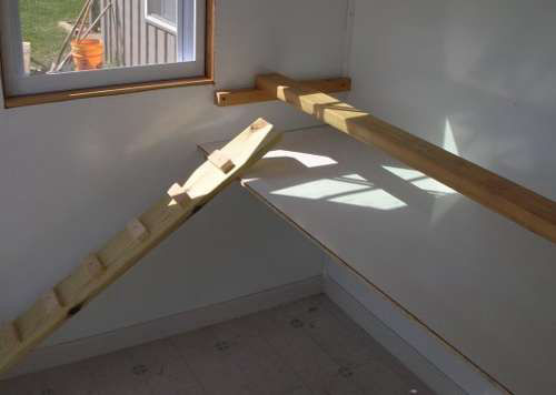 Making droppings or poop boards work for you. - Cluckin