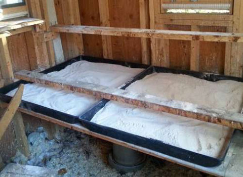 Making droppings or poop boards work for you. - Cluckin