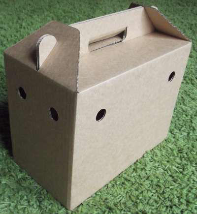 Transporting or moving chickens. - Cluckin