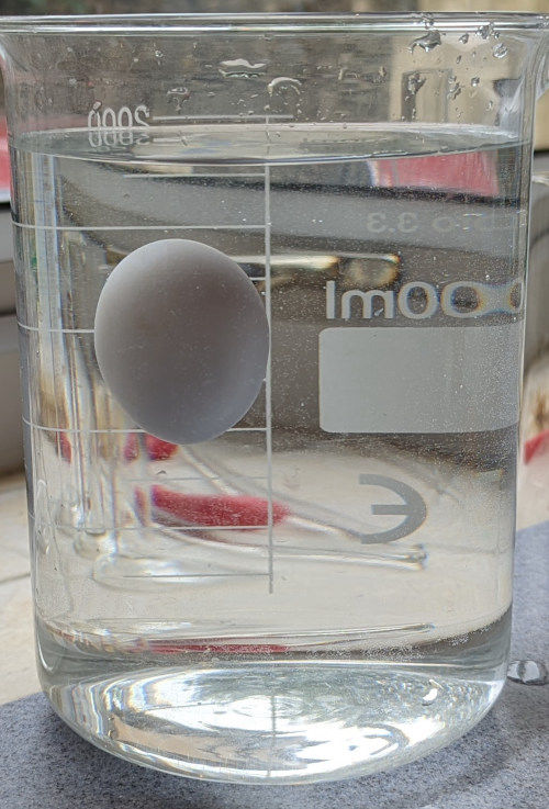 How to test eggs for freshness. 4 methods with the results. - Cluckin