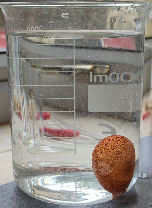 How to test eggs for freshness. 4 methods with the results. - Cluckin