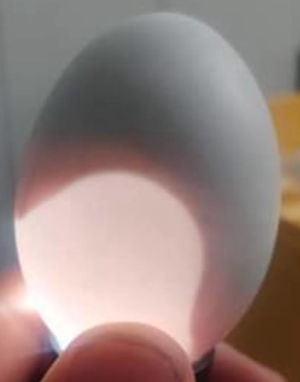 Air cells in eggs. Where to find them and what are they for. - Cluckin