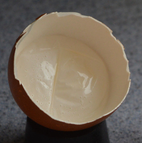 Air cells in eggs. Where to find them and what are they for. - Cluckin