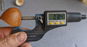 Thickness and strength of eggshells and why it matters. - Cluckin