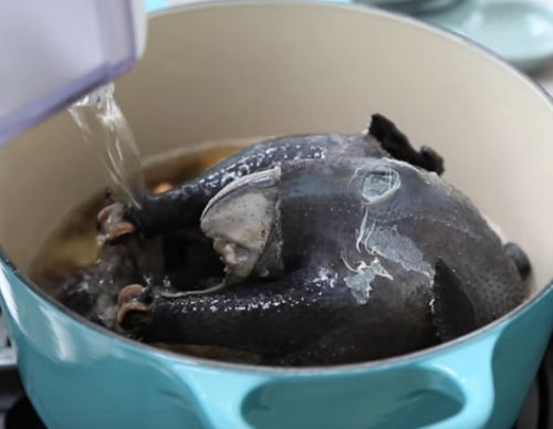 Keeping silkies for meat - Cluckin