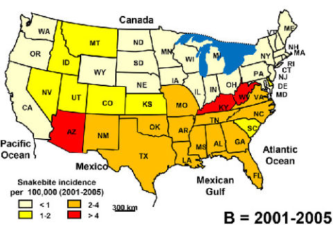 15 ways to keep snakes out of the chicken coop. - Cluckin