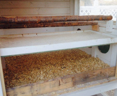 The lowdown on roosts, roosting and perches with FAQ. - Cluckin