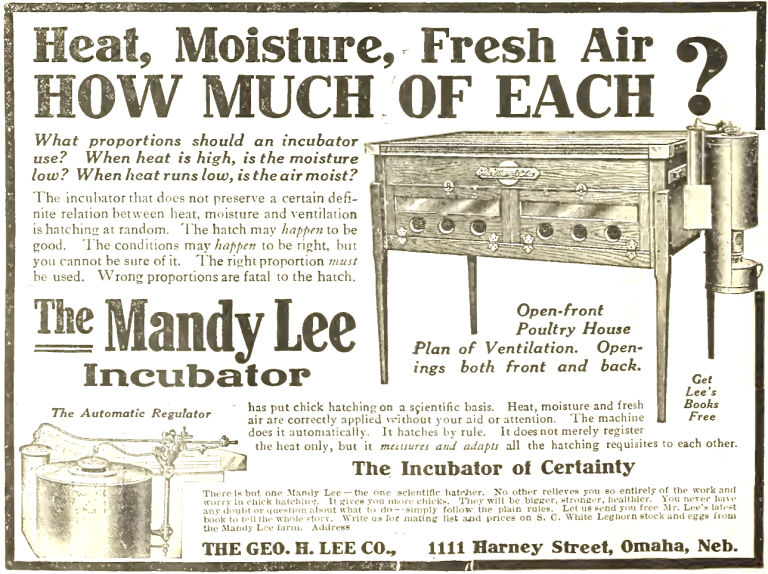 The history of artificial incubation. - Cluckin