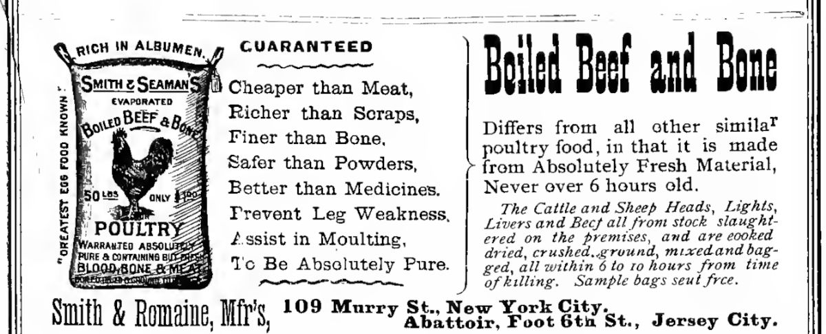 How and what did they feed chickens in the old days? - Cluckin