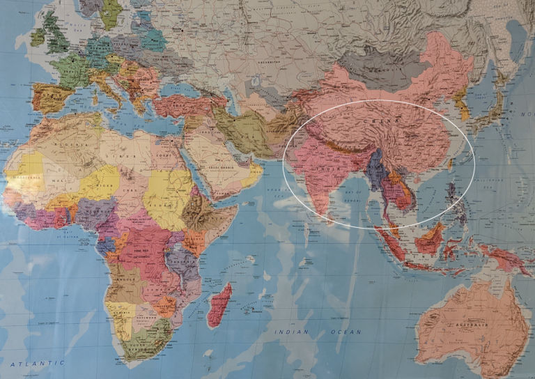 The evolution and origin of the chicken. - Cluckin