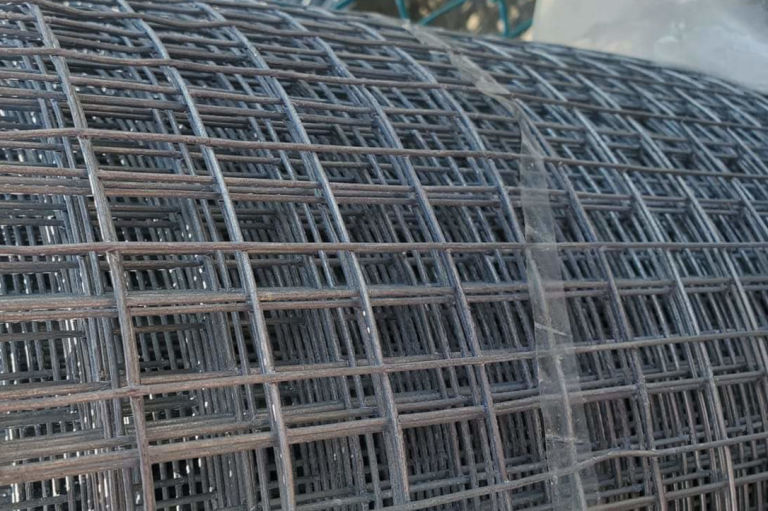 Can chicken coops and runs be fox proof and how to achieve it. - Cluckin