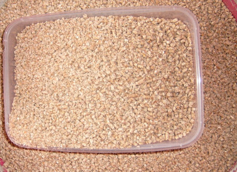 Different types of chicken feeds explained. - Cluckin