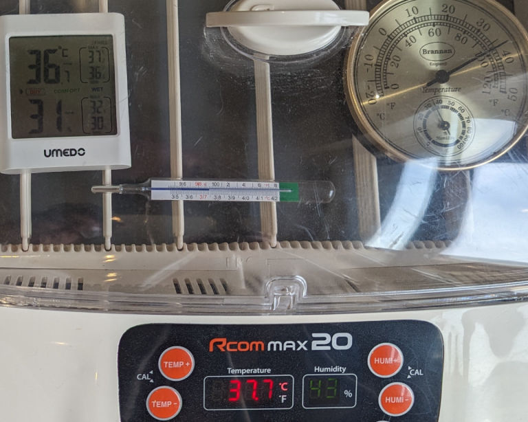 Winter incubation. A guide to out of season hatching and brooding of ...