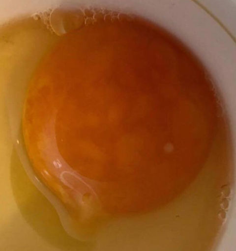 Abnormal chicken eggs. 37 egg and shell problems explained. - Cluckin