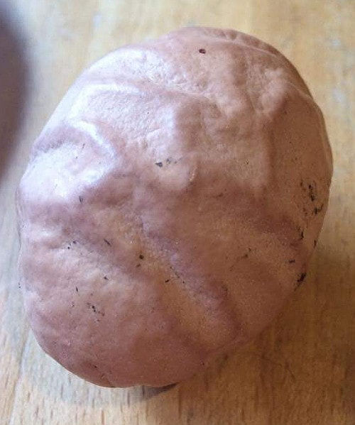 Abnormal chicken eggs. 37 egg and shell problems explained. - Cluckin