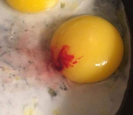 Abnormal chicken eggs. 37 egg and shell problems explained. - Cluckin