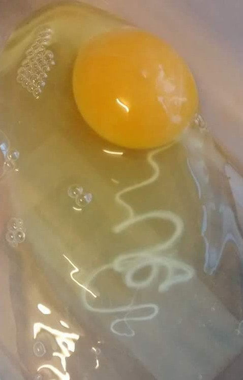 Abnormal chicken eggs. 37 egg and shell problems explained. - Cluckin