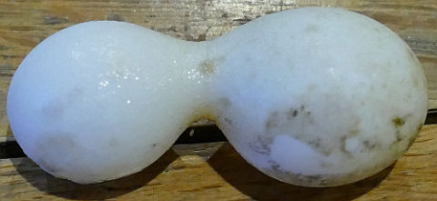 Abnormal chicken eggs. 37 egg and shell problems explained. - Cluckin