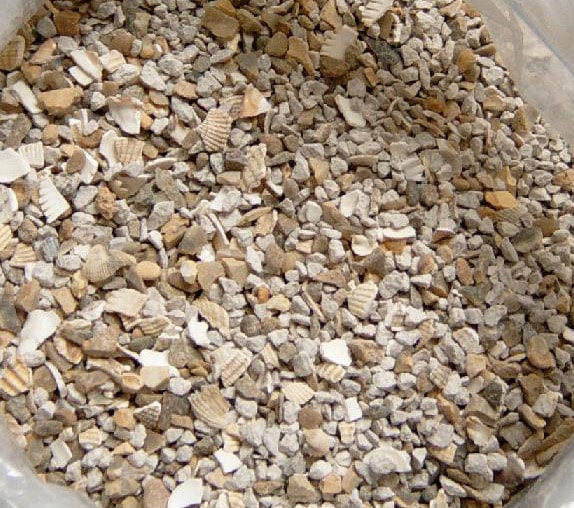 The complete guide to feeding grit and oyster shell to chickens. With ...